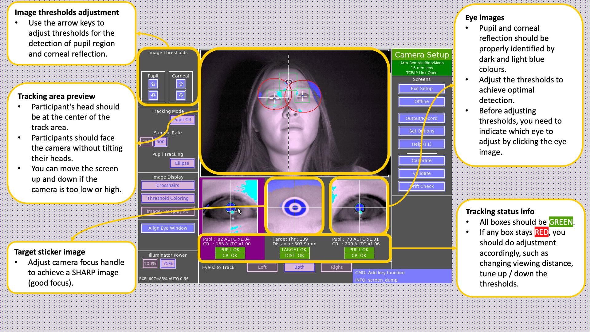 Eye Tracker | Baby Lab Handbook